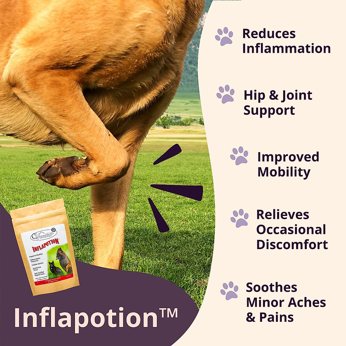 Glacier Peak Holistics Inflapotion - Natural Anti-Inflammatory Relief for Dogs & Cats, Organic Remedy Arthritis, Inflammation, Hip & Joint Pain - 3oz