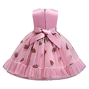Baby Girls Sleeveless Floral Lace Shiny Strawberry Embroidery Princess Bridesmaid Dress for Baby Flower Ruffles Tulle Communion Baptism Holiday Dance Evening Short Gown Bean Pink 5-6X