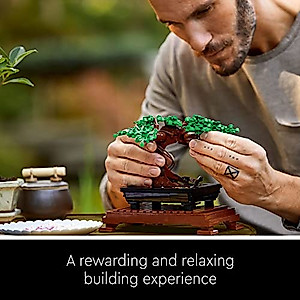 LEGO Icons Bonsai Tree Building Set 10281 - Featuring Cherry Blossom Flowers, DIY Plant Model for Adults, Creative Gift for Home Décor and Office Art, Botanical Collection Design Kit