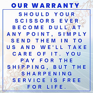 Facial Scissors made from Surgical Stainless Steel, Very Straight, Very Sharp Blades for Precision Cuts, Easy To Use & Comfortable to Hold, Trims Eyebrows, Ear Hair, Nose Hair, Cuticles, Case Included