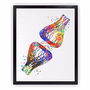 Dignovel Studios 11X14 Unframed Synapse Receptor Medical Science Neurology Neural Network Watercolor Art Print Poster Housewarming Wall Giclee Office Home Decor DN531