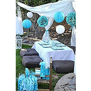 Teal Bridal Shower Decorations White Teal Grey Tissue Paper Pom Pom Paper Lanterns Teal Themed Party Wedding Teal Blue Baby Shower Teal Sweet 16 Birthday Party Decorations Mermaid Party Supplies