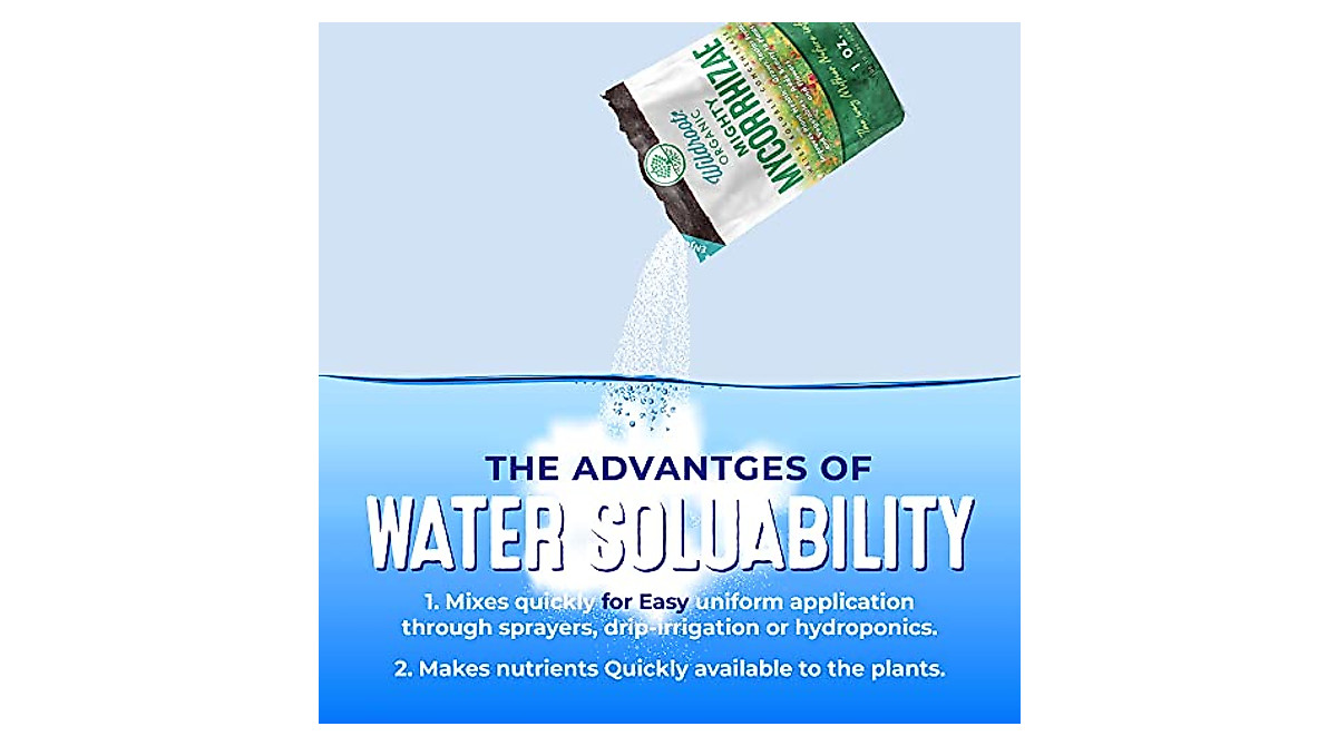 Boost Plant Growth with Wildroot Organic Mycorrhizae