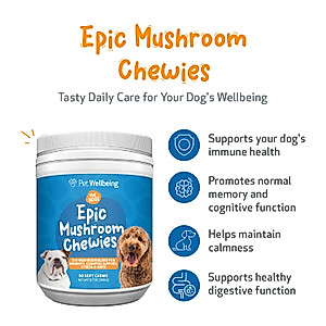 Pet Wellbeing Epic Mushroom Chewies for Dogs - Vet-Formulated - Immune Support, Cognitive Health, Adaptogenic Stress Support with Reishi, Chaga, Lion's Mane Medicinal Mushrooms - 90 Soft Chews