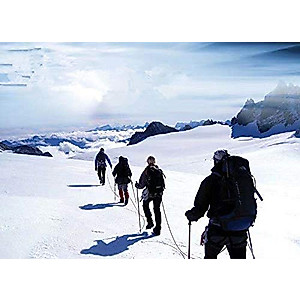 capus Aluminum Trekking Poles T-Handle Anti-Shock Telescopic Walking Cane Hiking Sticks with LED Light (Black)