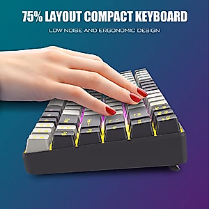 RedThunder K84 Wireless Keyboard and Mouse Combo, RGB Backlit Rechargeable Battery, 75% Layout 84 Keys TKL Ultra Compact Gaming Keyboard & Lightweight 7200 DPI Honeycomb Optical Mouse (White-Gray)