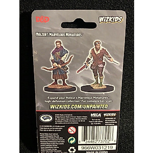 D&D Nolzur's Marvelous Miniatures - Male Human Rogue