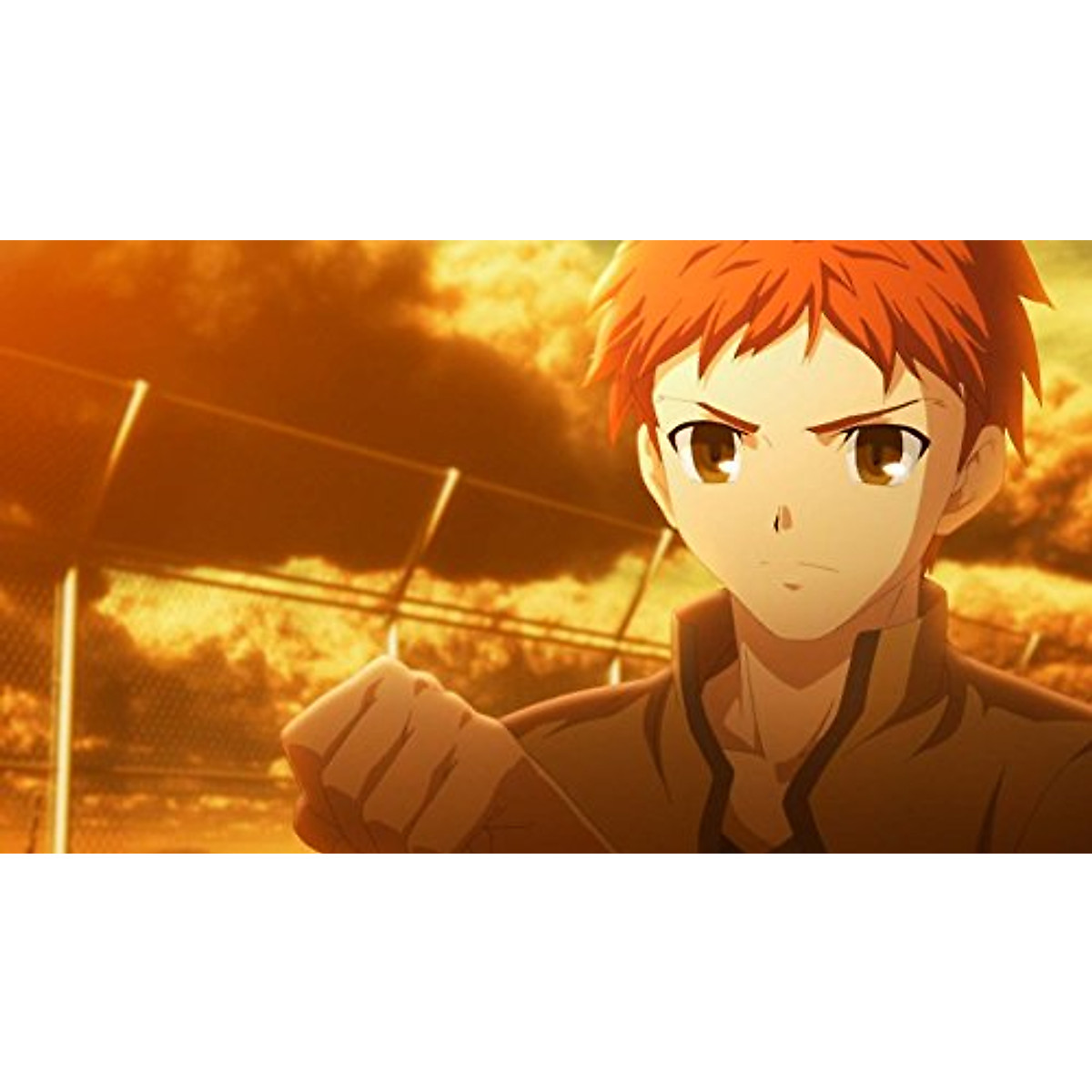 Fate / Stay Night [Realta Nua] Playstation Vita the Best Limited Benefits "Another Special Jacket" With