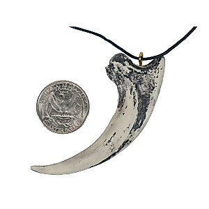 Mid-Land Scientific Deinonychus Dinosaur Claw Pendant Necklace (344-3)