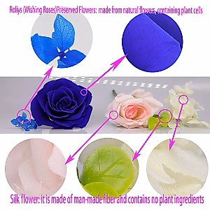 roliys Preserved Real Roses with Colorful Mood Light Wishing Bottle, Eternal Rose，Never Withered Flowers, Table Decor,Christmas Anniversary Valentine's, Blue 4.3inch, 1pcs