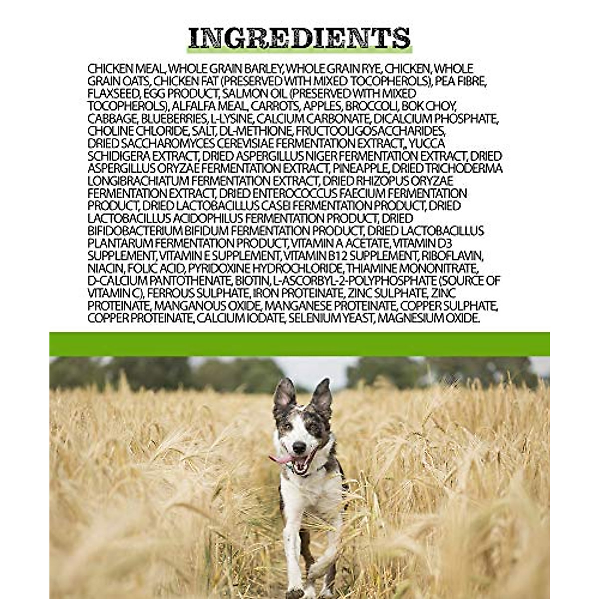 HORIZON PET NUTRITION Complete Whole Grain, Non GMO, Meat Dense All Life Stage Dry Dog Food, 8 8 lb Bag, (CA4)