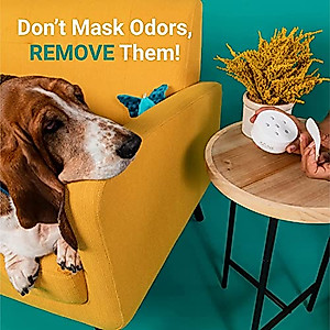 Azuna All-Natural Odor Remover Gel, Large Gym Bag | Air Purifier with Tea Tree Oil | Plant-Based & Long Lasting | For Smoke, Pet Odor & Strong Odors | Athlete, 8 oz.