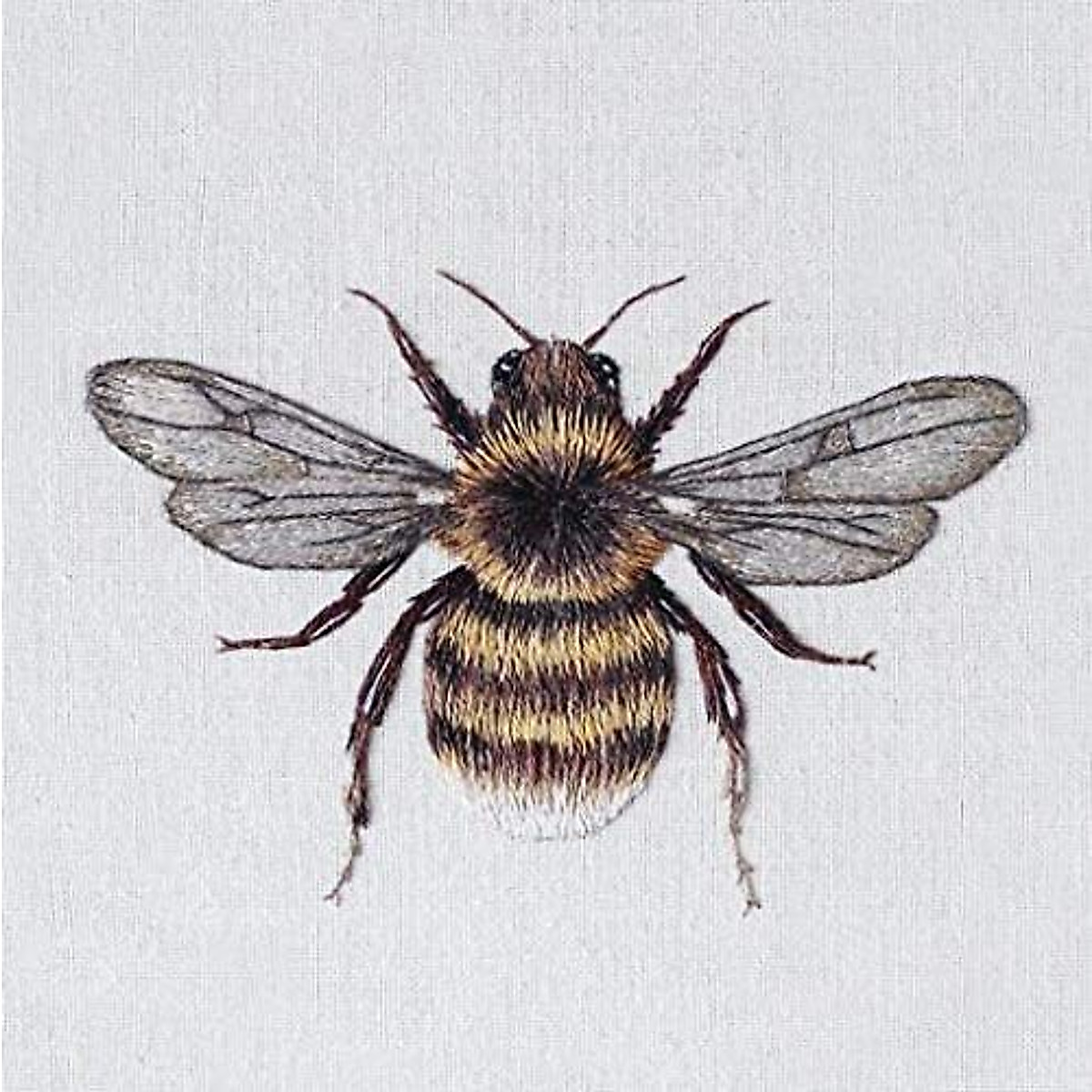 Moon Waves Sewing Thread 40 Colors 1000 Yards Per Spool 40S/2 Polyester 15 Color Sets Options for Sewing Machine,Embroidery Machine,Hand Sewing (10 Grey Colors)