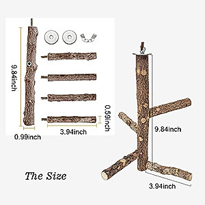 L1HMPET Natural Wood Bird Perch Stand Toy,Parrot Perch Bird Cage Branch Perch Accessories for Parrots, Parakeets Cockatiels, Conures, Macaws, Love Birds, Finches (Bird Perch M: 10" Length)