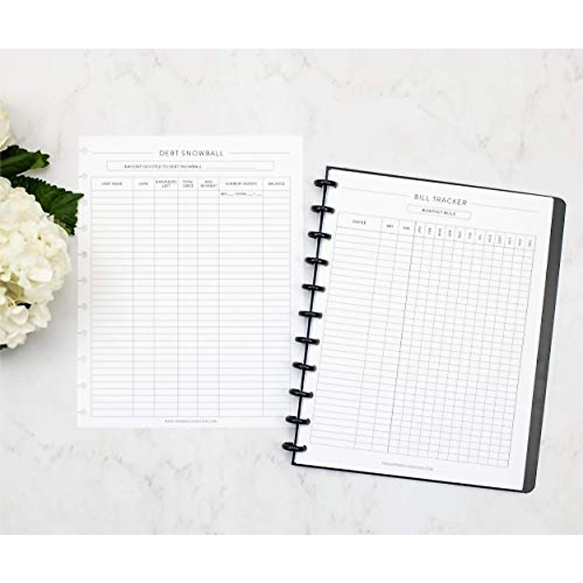 BetterNote Finance Plan Refill for Discbound Notebooks, Bill, Account, Expense, Budget, Fits Levenger Circa, The Happy Planner, Arc Systems, TUL, Talia, 1 Year Supply (11-Disc, 8.5"x11")