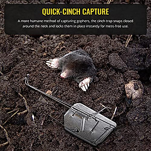 Cinch Mole Trap with Tunnel Marking Flag -Heavy-Duty, Reusable Trapping System | Lawn, Garden, and Outdoor Use | Weather Resistant Steel (Small - Mole Kit)