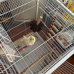 kathson Bird Chewing Toys Natural Pine Cones Hanging Foraging Toys Parrot Tearing Toys for Parakeet Cockatiel Conure African Grey Parrot Lovebirds Budgies Cockatoos