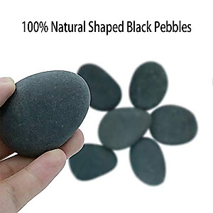 Craft Rocks for Rock Painting, 7 Smooth Flat Surfaced Stones for Kindness Stones and Rock Painting, 2" - 3.5" Inch River Rocks