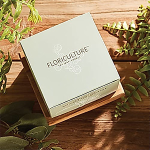 Napa Candles Collection-Floriclture Soy Wax Candle Forest Rain