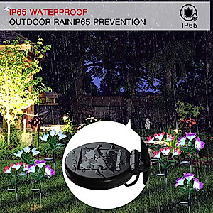 QJB Outdoor Solar Garden Stake Lights - Multi-Color Changing Flower Lights for Pathway, Lawn (3pack Clivia)