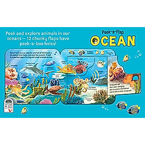 Peek-a-Flap Ocean Children's Lift-a-Flap Board Book for Children Learning about the Sea and Water Animals, Ages 2-5
