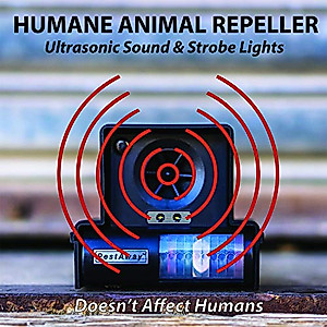 PREDATORGUARD PestAway Outdoor Animal & Cat with Motion Sensor Stops Animals Destroying Your Gardens & Yard