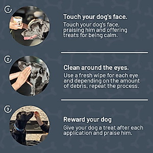 PUPPY LISA Dog Eye Wipes - Tear Stain Remover Hypoallergenic Made in The US Natural Eye Wipes for Dogs, Non-Irritant - with Aloe and Chamomile - Eye Wipes for Small Dogs for Discharge and Crust