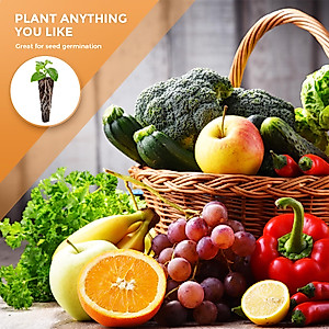 Yizhet 120 Pack Grow Sponges, Seed Pods Replacement Root Growth Sponges Compatible with AeroGarden, Seed Pods Kit with 8 Plant Labels and 1 Tweezers for Hydroponic Indoor Garden System