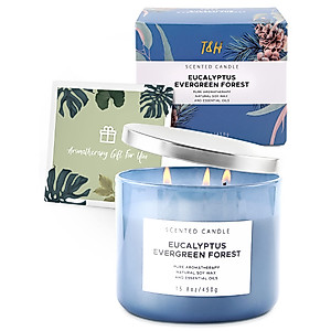 Eucalyptus Evergreen Forest Luxury 3 Wick Winter Pine Candle | Mens Candles, Scented Candles for Home | Aromatherapy Stress Relief Soy Candles 15.8 oz | Balsam Fir Woods Candles for Men & Women