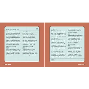 Snakes for Kids: A Junior Scientist's Guide to Venom, Scales, and Life in the Wild