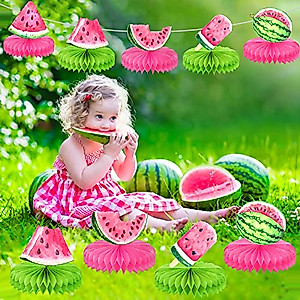 10 Pcs Watermelon Party Supplies One in a Melon Honeycomb Centerpieces for Summer Fruit Party Decorations Pink Watermelon Table Honeycomb for Birthday Wedding Party Baby Shower Supplies Favors