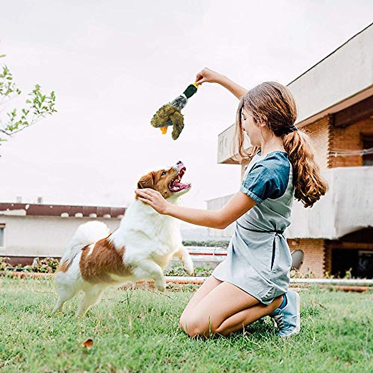 SUNKYPUP Plush Mallard Duck Dog Toy, Squeaky Dog Toy, Plush Dog Chew Toy for Small Medium Dogs, 8-Inch