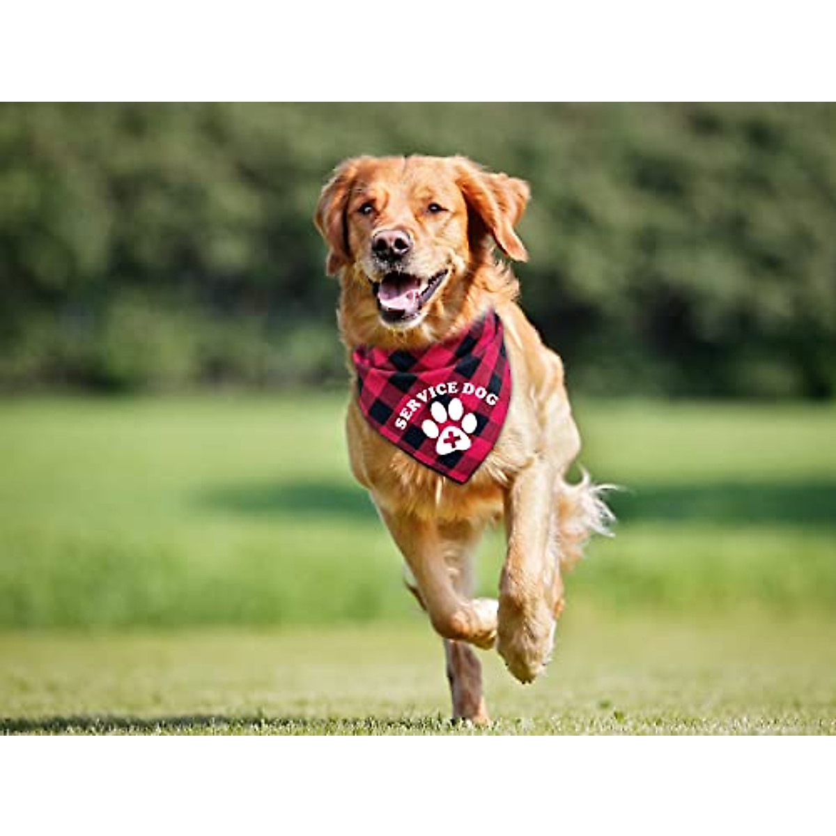 Ptzizi Funny Red Plaid Cotton Triangle Service Dog Bandana for Photograph Birthday Party Props Scarf Scarves Decorations, Pet Dog Lovers Owner Gift