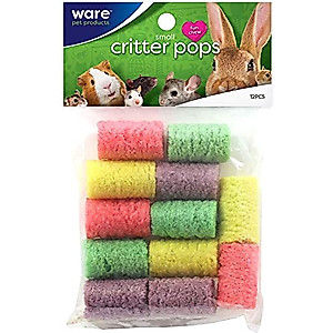 Wodent Wheel 11 Inch & Tail Shield - Running Wheel for Small Pets Bundled with Critter Pops Treats