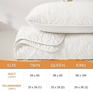 Whale Flotilla 3 Piece Queen Size Quilt Set, Soft Reversible Embossed Queen Quilts Bedding Set, Lightweight Bedspreads Coverlets with Boho Pattern for All Seasons, White
