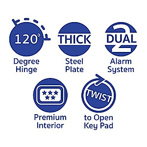 Cannon Safe E913-CPAN-17 Edge Mini Personal Safe by Cannon, Black