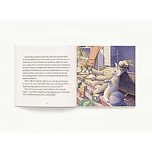 The Velveteen Rabbit 100th Anniversary Edition: The Limited Hardcover Slipcase Edition (Perfect Bedtime Reading For Ages 1-7) (The Classic Edition)
