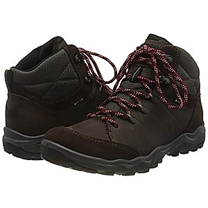 ECCO Men's Hiking Ankle Boot, Brown Licorice Coffee, 10-10.5