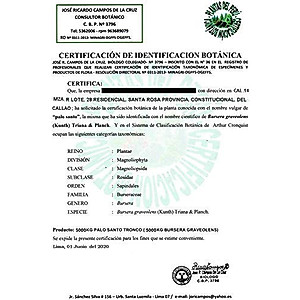 Luna Sundara - 100 g. Palo Santo Sticks from Peru Sustainably Wild Harvested Quality Hand Picked - (Approximately 12-20 Sticks) Includes a Reusable Drawstring Bag.