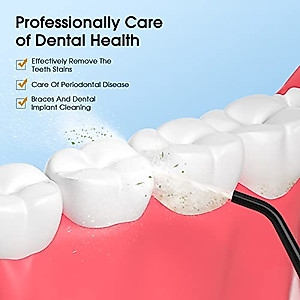 Hangsun Water Flossers Professional for Teeth Cordless Portable Dental Oral Irrigator HOC760 300ML Rechargeable IPX7 Waterproof Water Teeth Cleaner Picks for Home Travel with 8 Jet Tips
