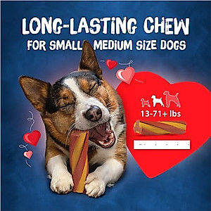 Purina Busy With Beggin' Made in USA Facilities Small/Medium Breed Dog Chew, Twist'd Cheddar & Hickory Smoke Flavors - 10 ct. Pouch