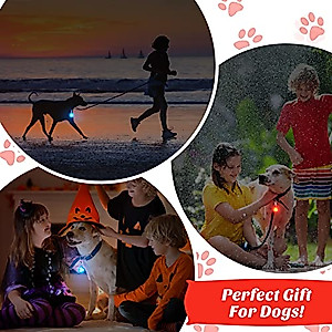2 Pcs LED Dog Collar Light Waterproof Silicone Light up Dog Tag Clip on Flashing Dog Lights for Night Walking Camping Light for Dog Collar Pet Harness Leash Safety Paw Dog Tag Light (Red, Blue)