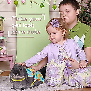 3 Piece Cute Rabbit Leash and Harness Set, Bunny Rabbit Dress Clothes Walking Harness Vest Escape Proof Pet Supply for Rabbit Hedgehog Ferret Guinea Pig (Cake, Bunny, Pineapple)