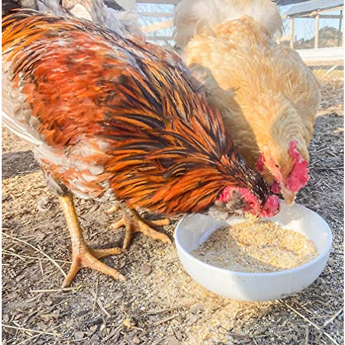 Pampered Chicken Mama Egg-Cellent Yolks: Organic Chicken Feed Supplement & Duck Food for Golden Yolks (2.5 pounds)
