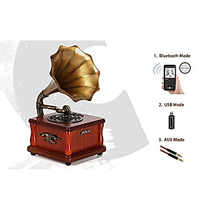 Eikosch Portable Bluetooth Speakers, Mini Phonograph, USB Music Player, Home and Entertainment Decorations, Holiday, Party and Birthday Gifts. …