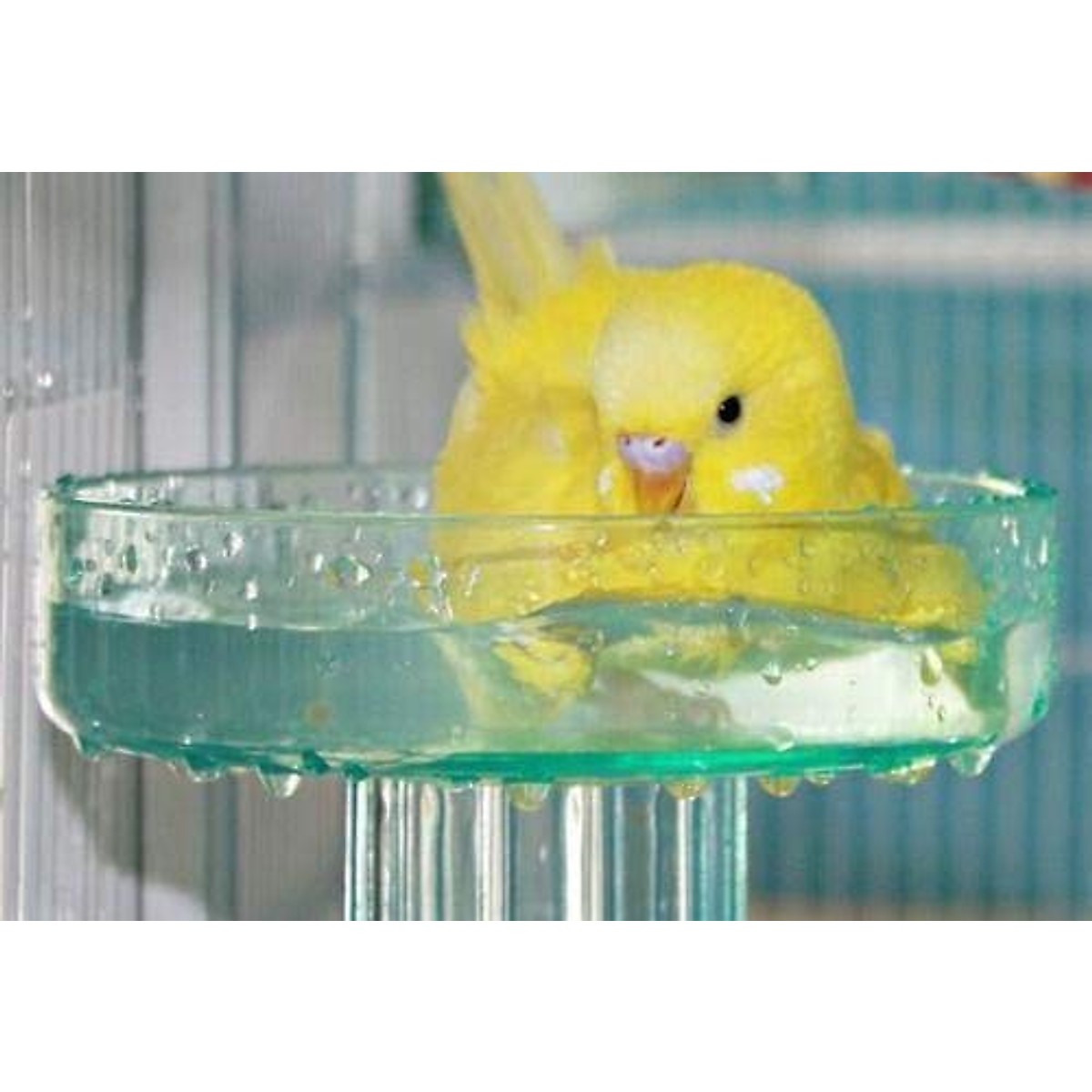 Lixit Quick Lock Bird Cage Bath for Lovebirds, Canaries, Finches, Parakeets, and Cockatiels and Other Small to Medium Feathered Friends (Pack of 2)