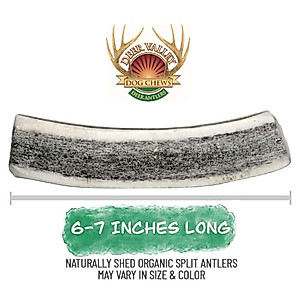 Deer Valley Dog Chews - Single Split Antler Chews (Large Size, 6-8 Inches Long) All Natural Dental Treat for Teething and Chewing - Premium Grade, Naturally Shed, USA (Single)