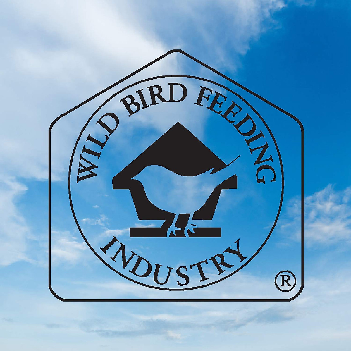 Blue Seal Nuts & Berry Suet Cake | No Mess Wild Bird Suet | 11 oz (12 Pack)