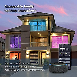 BestLuz Smart Ceiling Light Flush Mount LED WiFi, Compatible with Alexa & Google Assistant, Dimmable Low Profile Ambient Light Fixture for Bedroom Living Room,16 Inch 24W