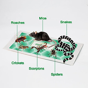 10 PCS Large Glue Trap Strips for Trapping Insects, Mice, Spiders, Bugs, Crickets, Scorpions, Roaches, Super Sticky & Non-Toxic Glue Boards Pre-Baited with Fruity Scent Attractant - 12 x 6 in